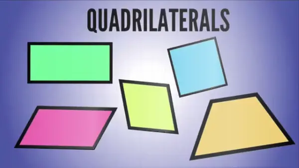 Quadrilaterals Notes | StudyBee